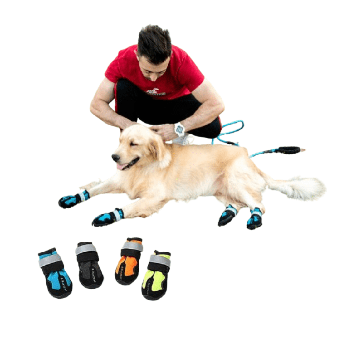 ZAPATO PARA PERRO - Aqua Mascotas